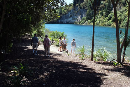 Native Bush Walk - Huka Prawn Park