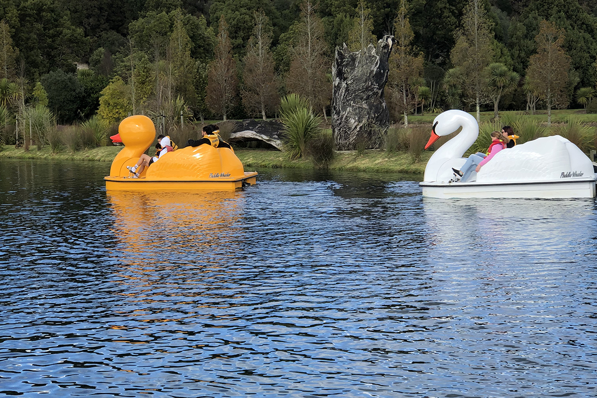 Duck Norris and Swanderella - Huka Prawn Park