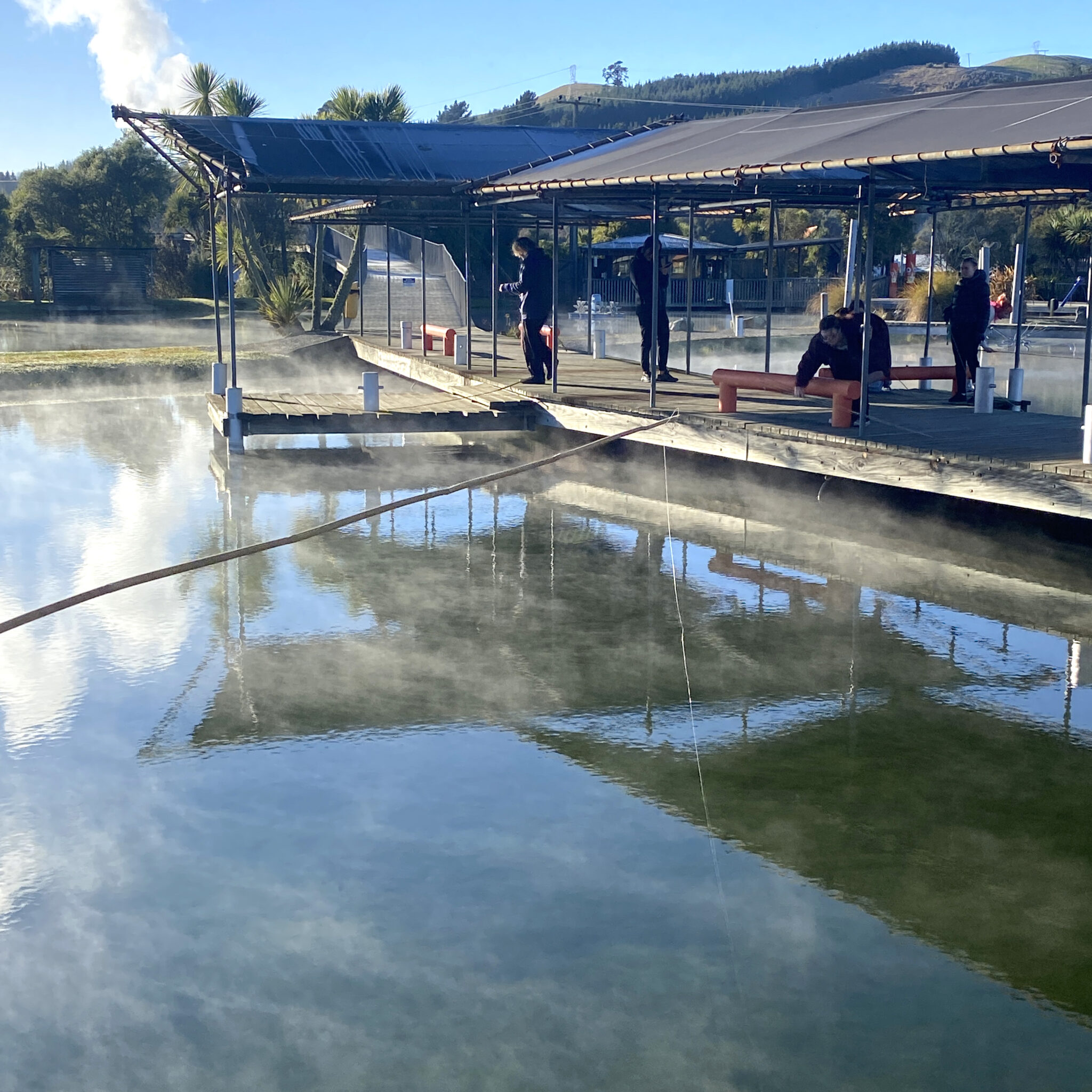 The Return of a Classic: Prawn Fishing Relaunches at Huka Prawn Park ...