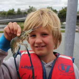 The Return of a Classic: Prawn Fishing Relaunches at Huka Prawn Park ...